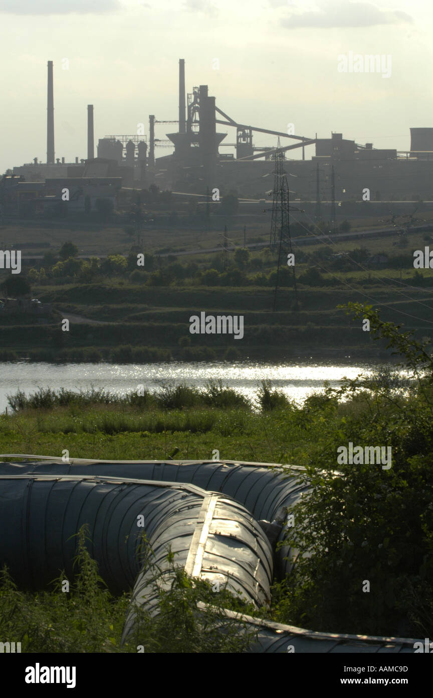 Plant combinat hi-res stock photography and images - Alamy