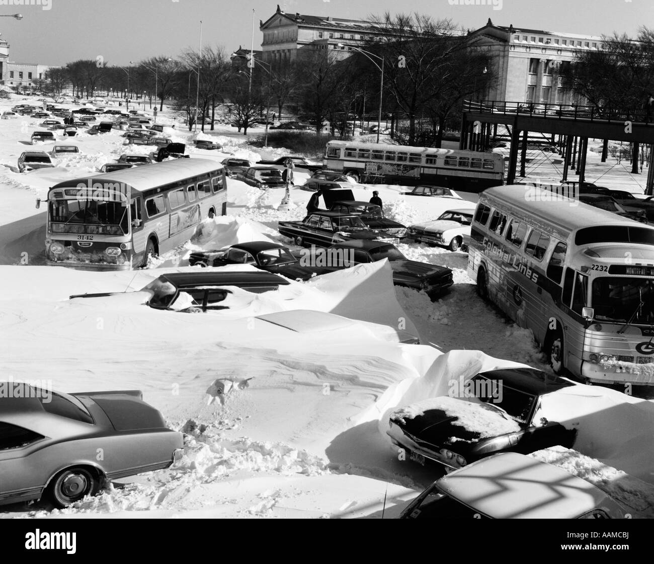 Car cars bus buses Black and White Stock Photos & Images - Alamy