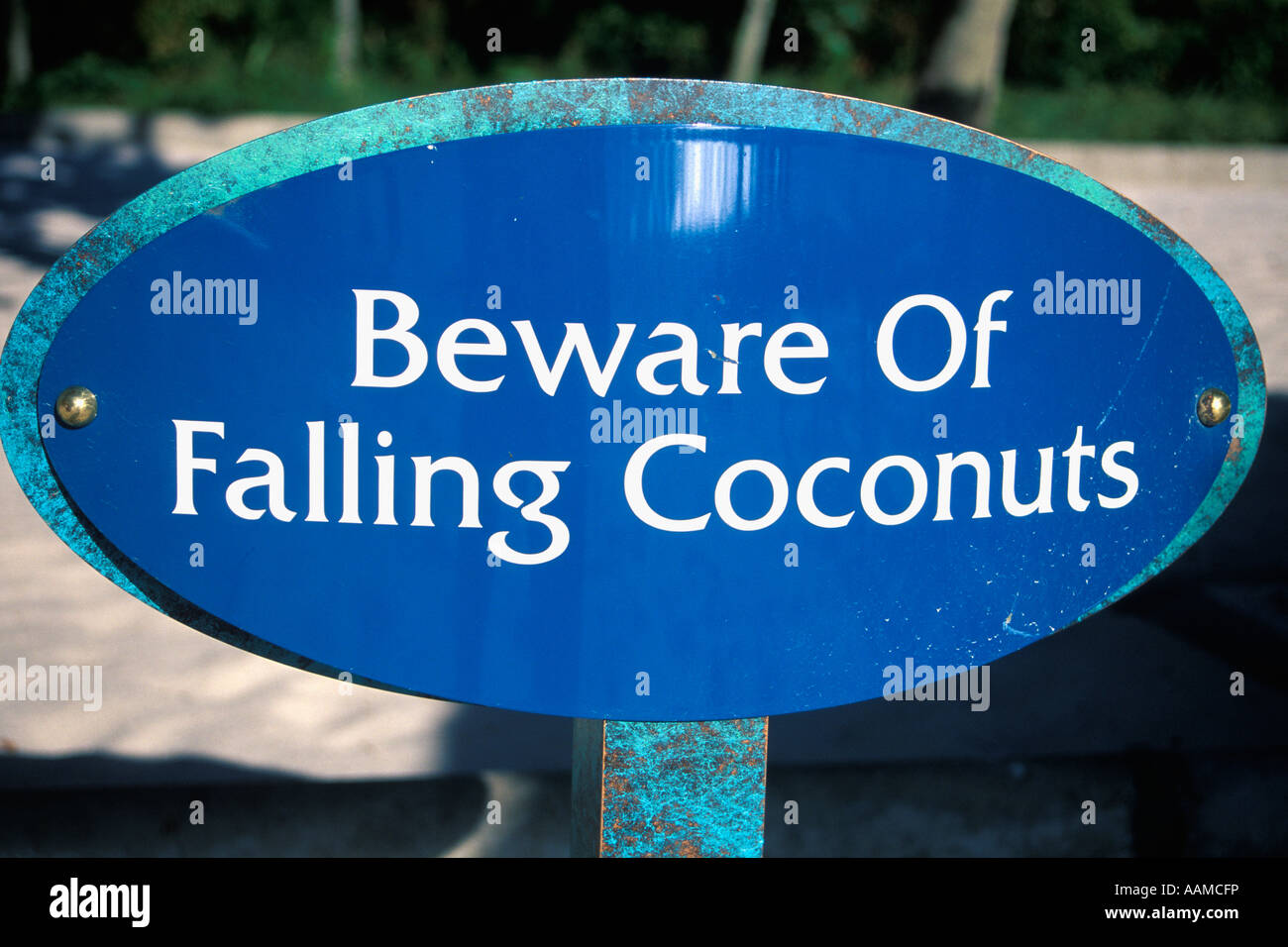 SOUFRIERE ST. LUCIA WEST INDIES BEWARE OF FALLING COCONUTS SIGN Stock ...