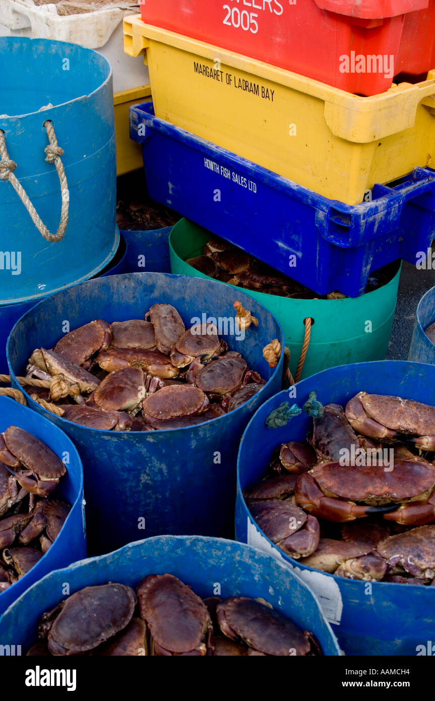 Catch buckets hi-res stock photography and images - Alamy
