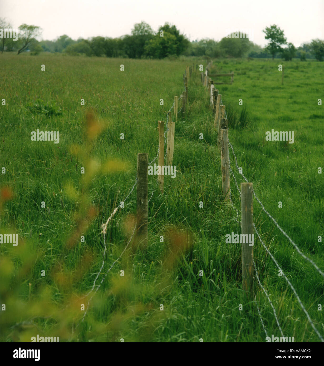 Ruc border hi-res stock photography and images - Alamy