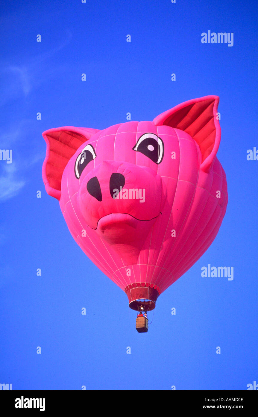 Colorful hot air balloon shaped like a pig head against blue sky at the ...