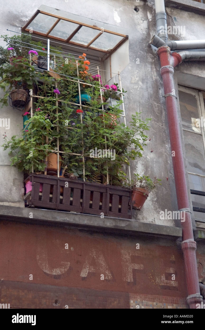 window with windowbox paris france Stock Photo - Alamy