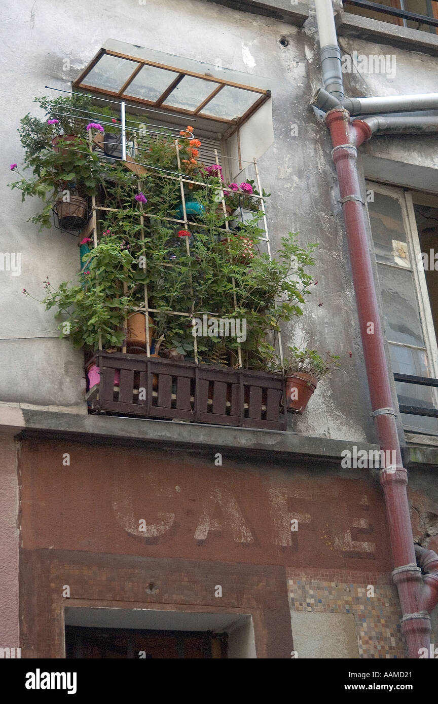 window with windowbox paris france Stock Photo - Alamy