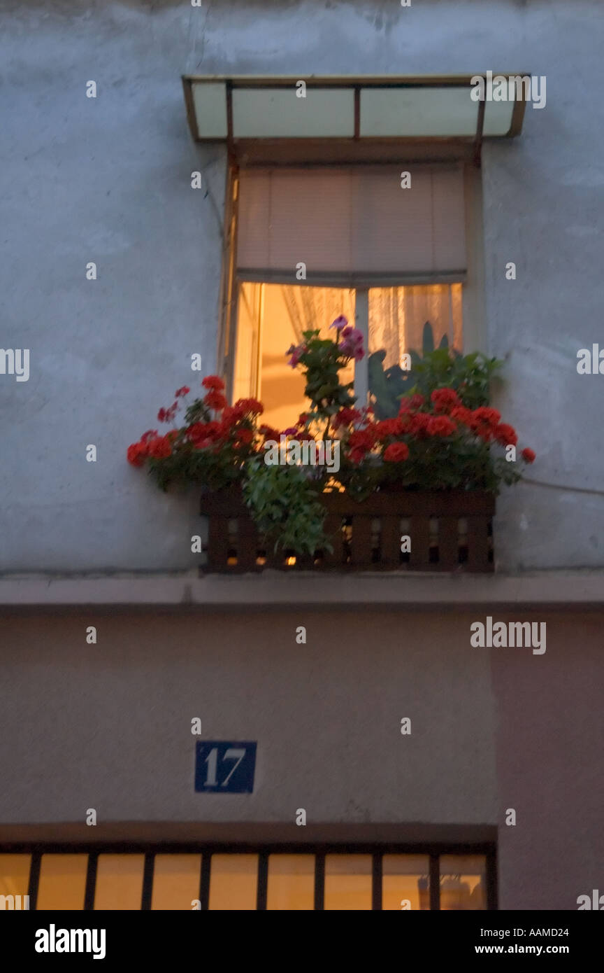 window with windowbox paris france Stock Photo - Alamy