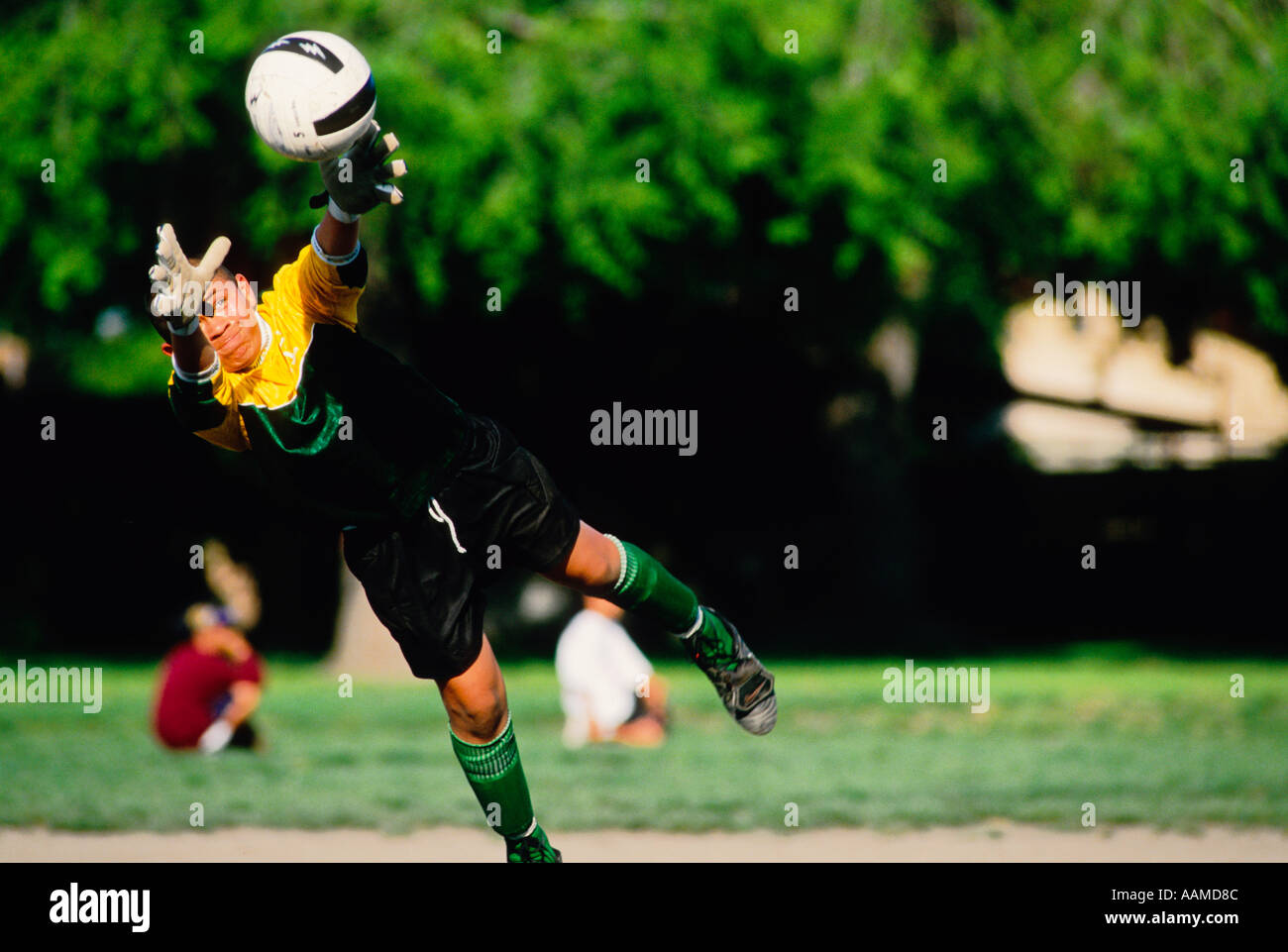soccer goalee diving to make a goal save football Stock Photo - Alamy