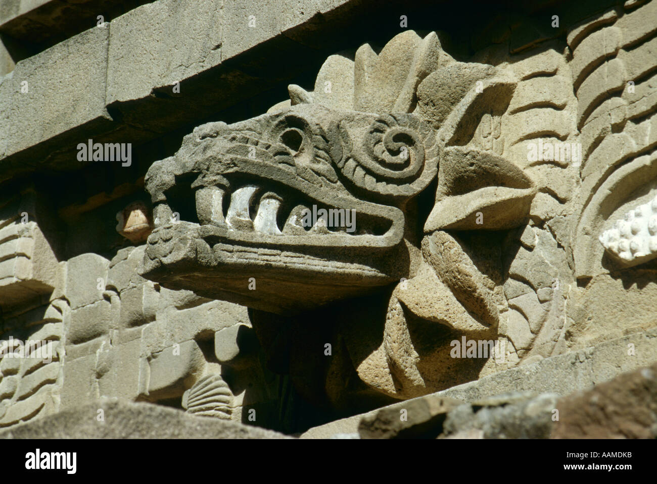 jaguar mask on mayan temple mexico Stock Photo - Alamy