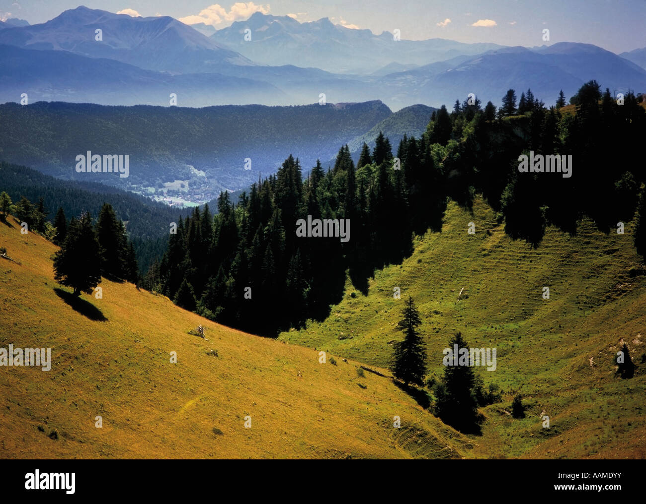 france alps the chartreuse view from charmont som Stock Photo - Alamy