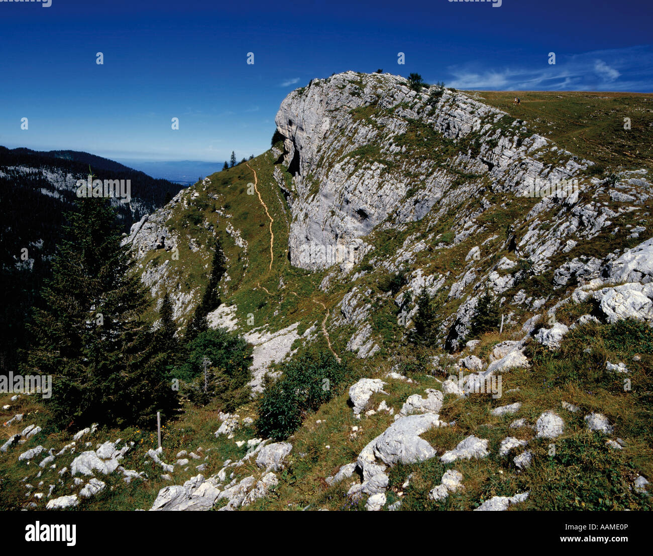 france alps the chartreuse view from charmont som Stock Photo - Alamy
