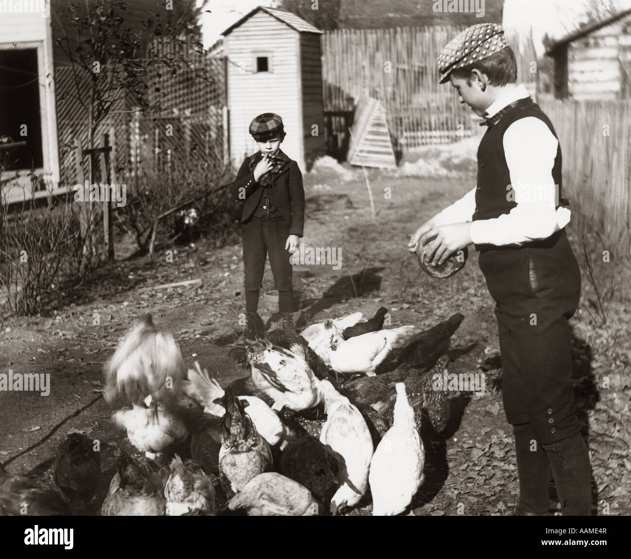 Boy feeding chickens hi-res stock photography and images - Alamy