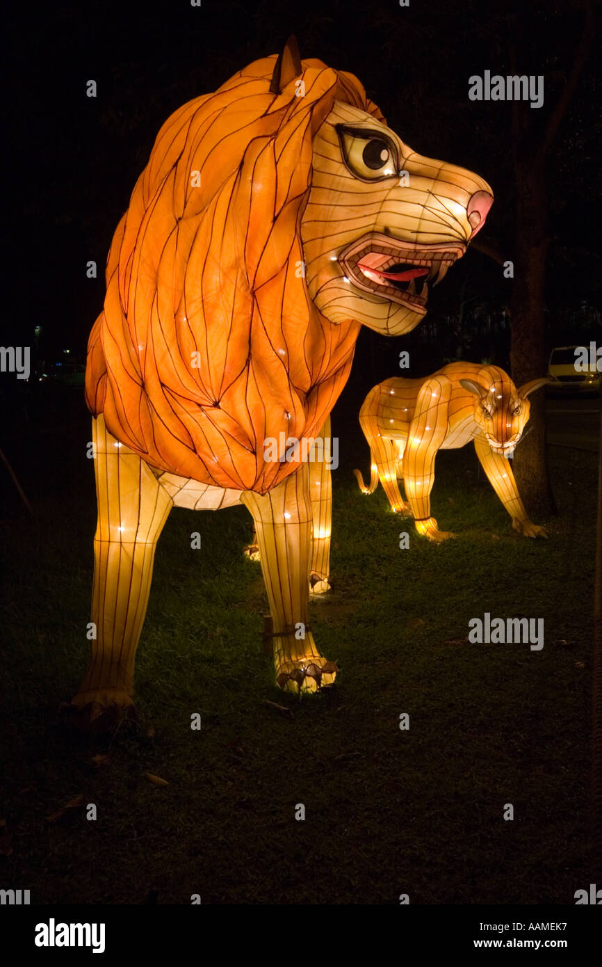 Tiger Night Zoo High Resolution Stock Photography and Images - Alamy