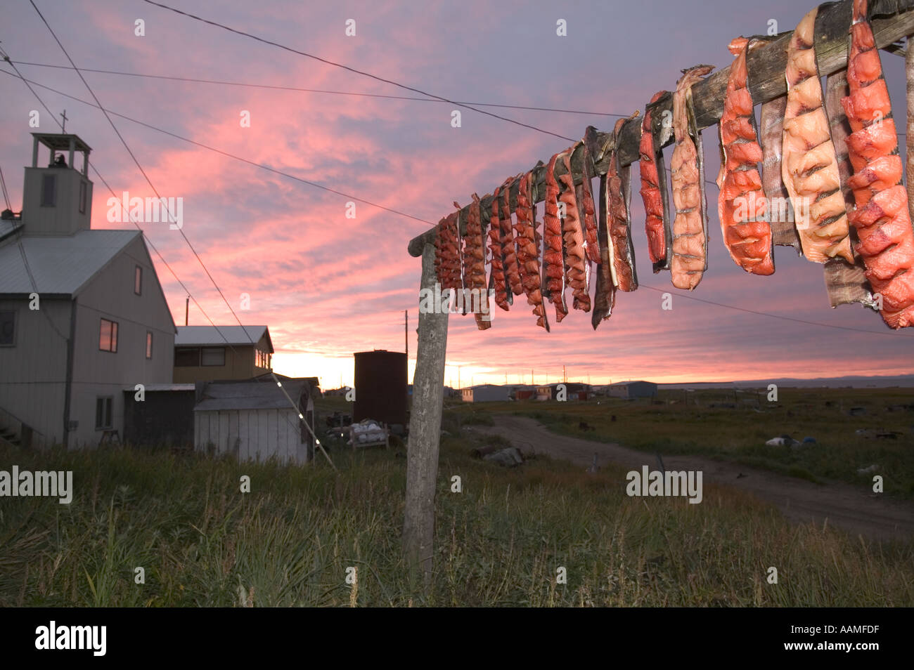 Salmon hung out to dry on the Eskimo island community of shishmaref ...