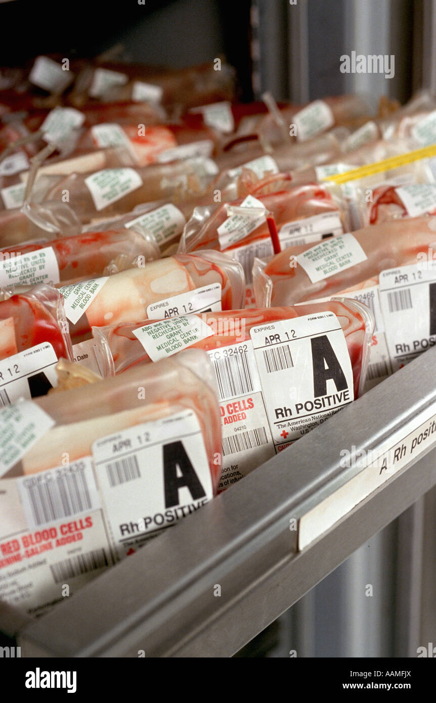 Pints of blood at hospital blood bank Stock Photo - Alamy