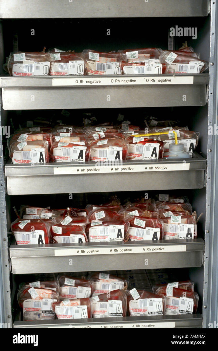 Pints of blood at hospital blood bank Stock Photo - Alamy