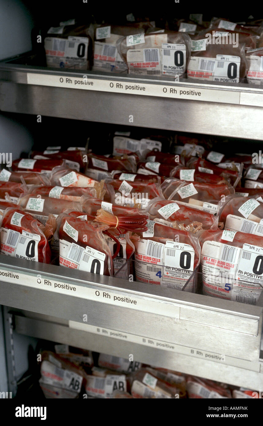 Pints of blood in hospital cooler Stock Photo - Alamy