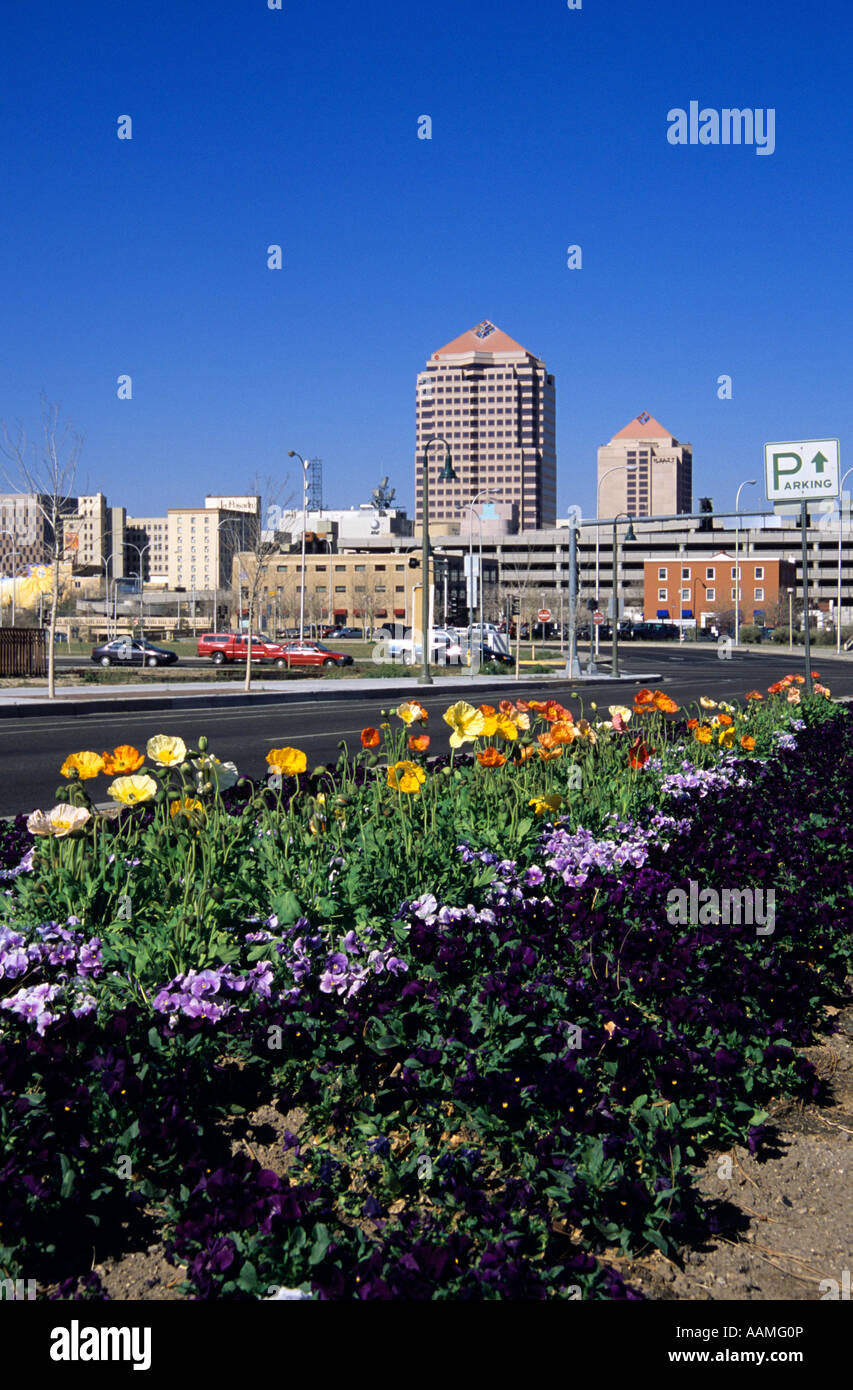 ALBUQUERQUE NM DOWNTOWN SKYLINE Stock Photo - Alamy