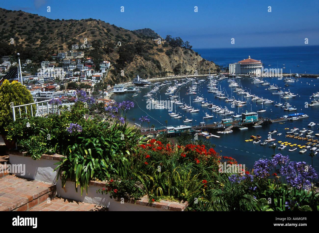 CATALINA ISLAND PATIO FLOWERS OVERVIEW HARBOR LOS ANGELES CALIFORNIA ...