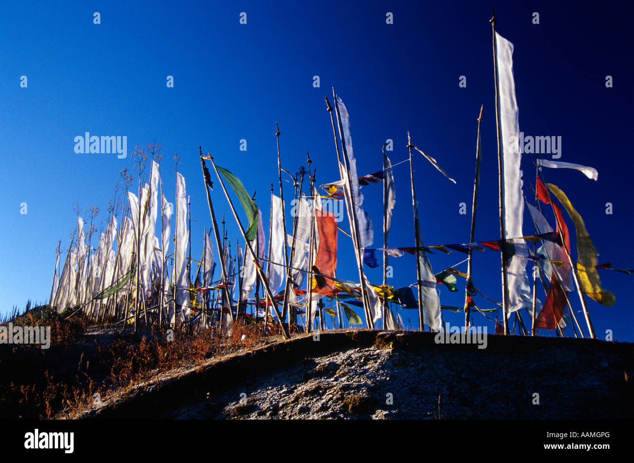 PRAYER FLAGS CHELELA CHELI PASS Stock Photo - Alamy