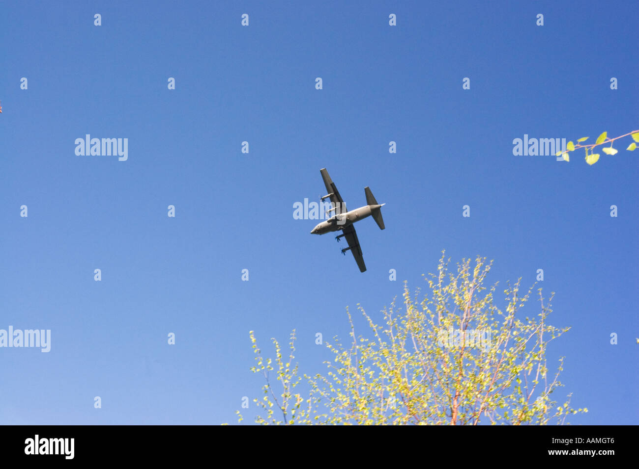 Raf hercules lyneham hi-res stock photography and images - Alamy