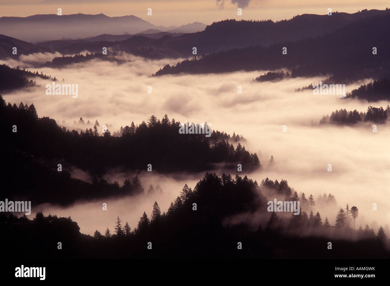 Samuel taylor state park hi-res stock photography and images - Alamy