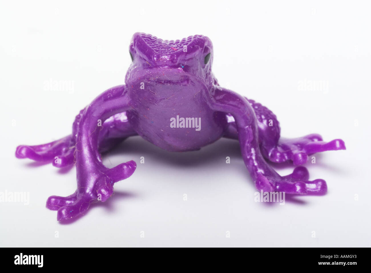 Shiny frog hi-res stock photography and images - Alamy