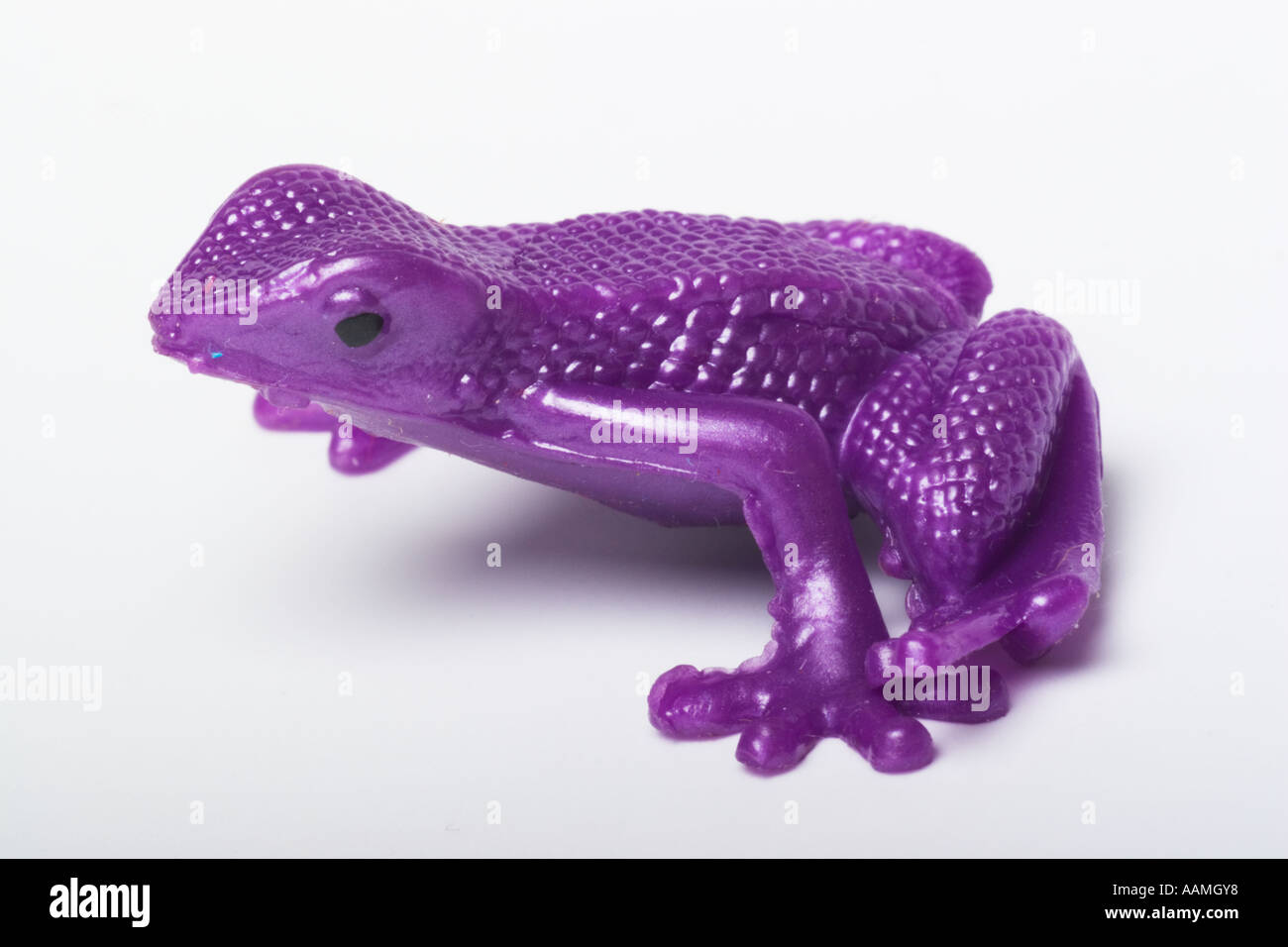 Shiny frog hi-res stock photography and images - Alamy