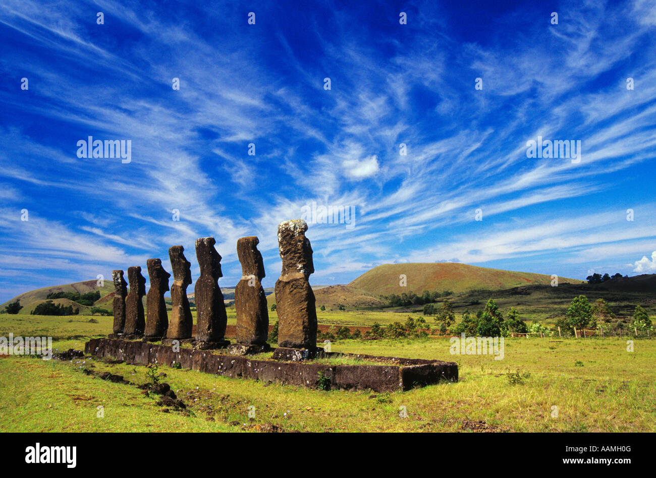 Moal hi-res stock photography and images - Alamy
