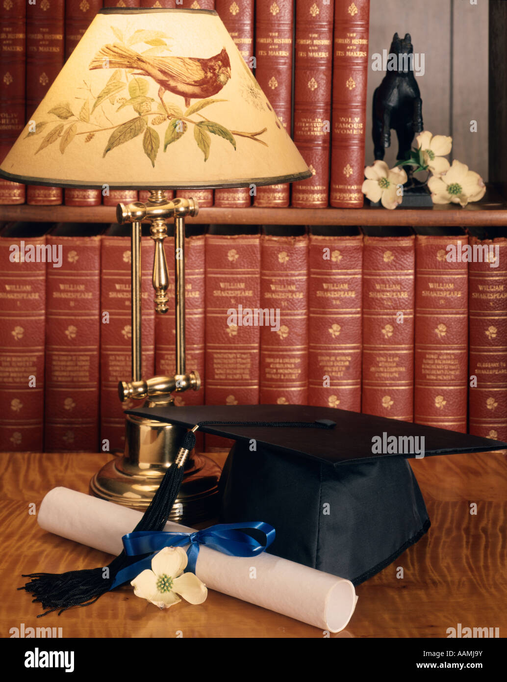 STILL LIFE OF CAP AND GOWN AND DIPLOMA WITH LAMP AND BOOKS ON SHELF ...