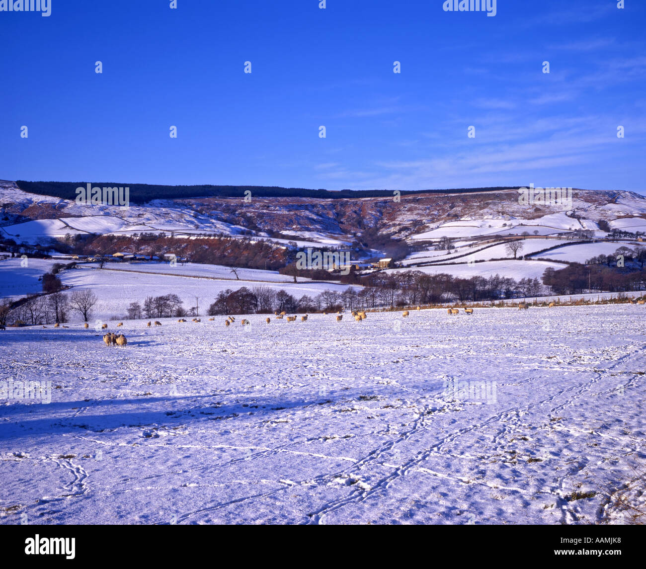 Parque nacional yorkshire moors hi-res stock photography and images - Alamy