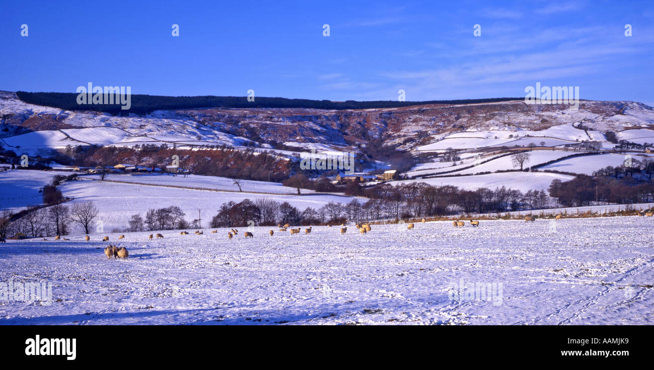 Parque nacional yorkshire moors hi-res stock photography and images - Alamy
