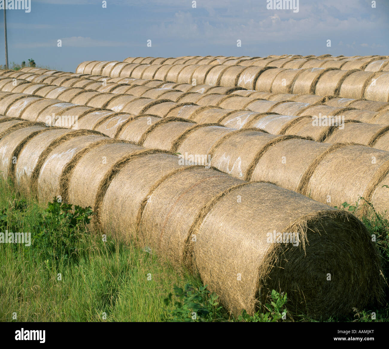 ROUND HAY BALES WRAPPED IN PLASTIC WEST OF FAIRPORT MISSOURI Stock ...