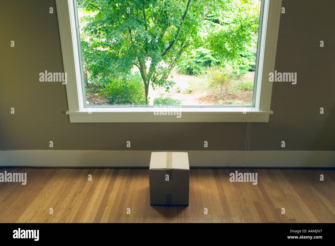View out window to back yard with box in room Stock Photo - Alamy