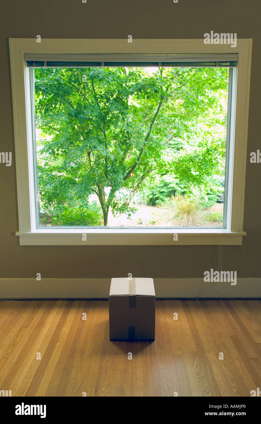 View out window to back yard with box in room Stock Photo - Alamy