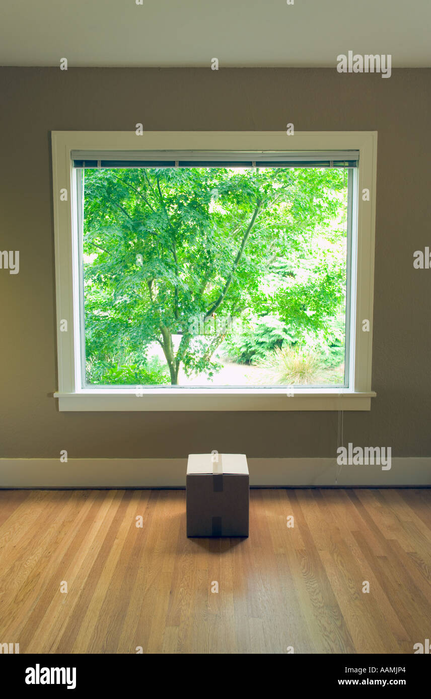 View out window to back yard with box in room Stock Photo - Alamy