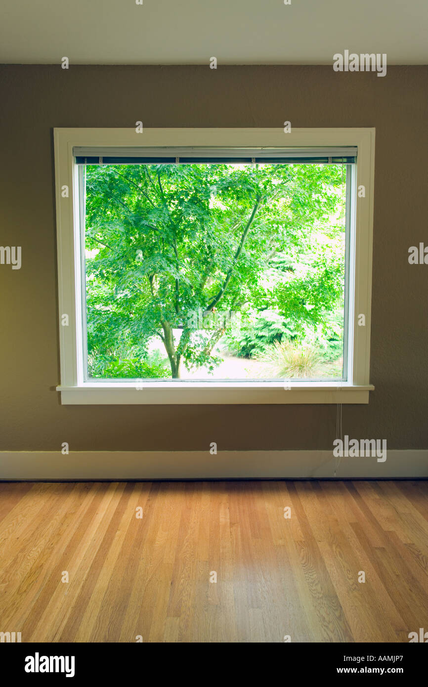 View out window to back yard Stock Photo - Alamy