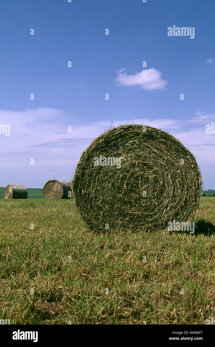 Iowa farms hay hi-res stock photography and images - Alamy