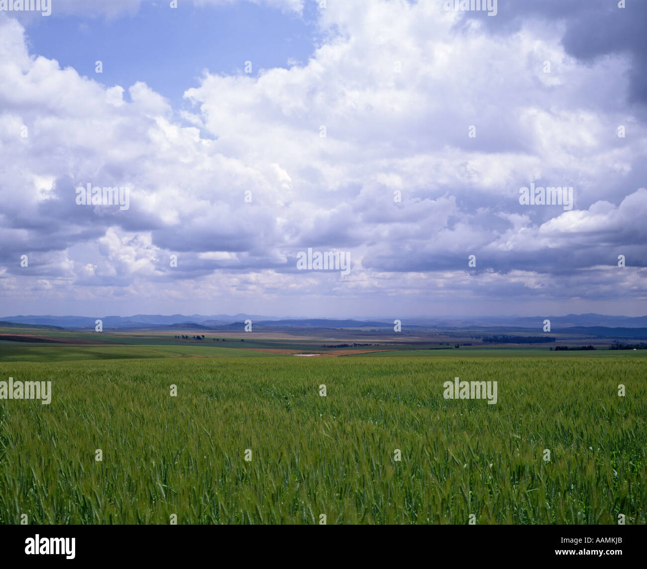 Highlands of central kenya hi-res stock photography and images - Alamy