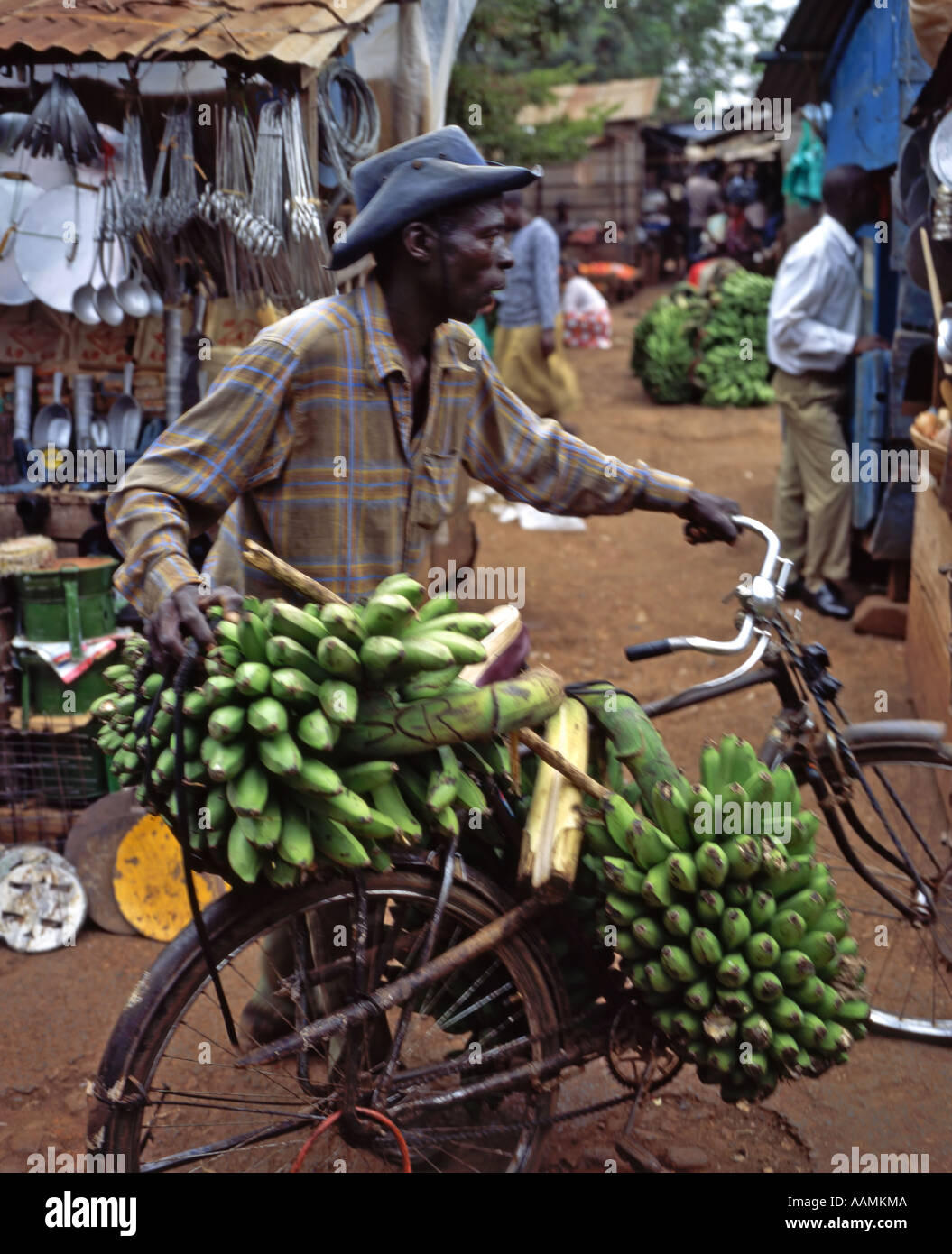Man pushing his bicycle loaded with bananas / plantains, Jinja Market ...