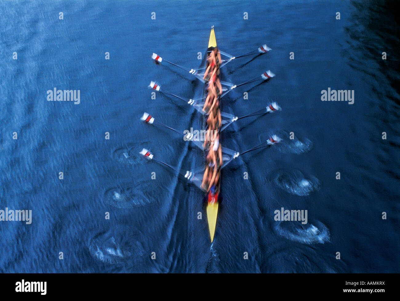 Eight man rowing team Windermere Cup Boat Races Seattle Washington USA ...