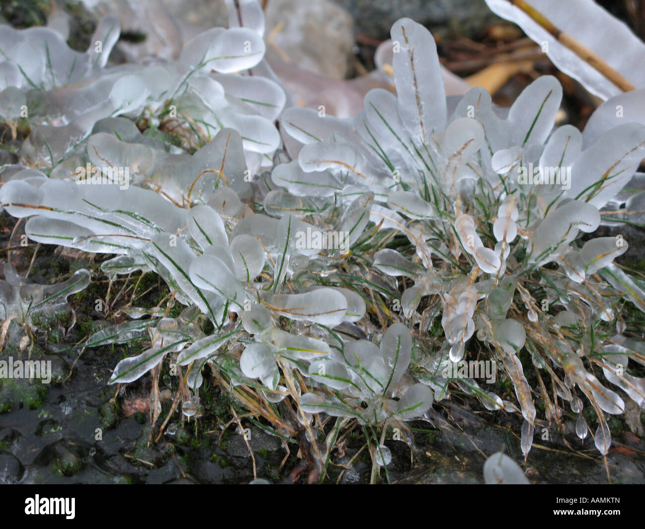 Freesing hi-res stock photography and images - Alamy