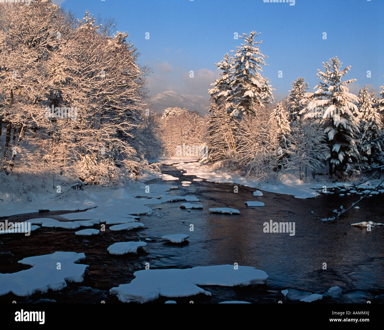 PARTIALLY FROZEN LAKE AND SNOW COVERED TREES CONWAY NEW HAMPSHIRE Stock ...