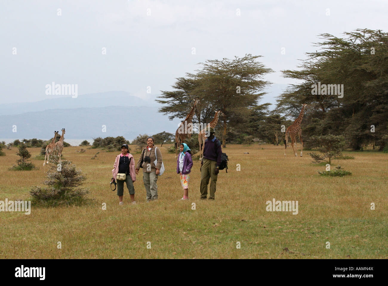 Walking safari with giraffes guided by a ranger at Crescent Island ...