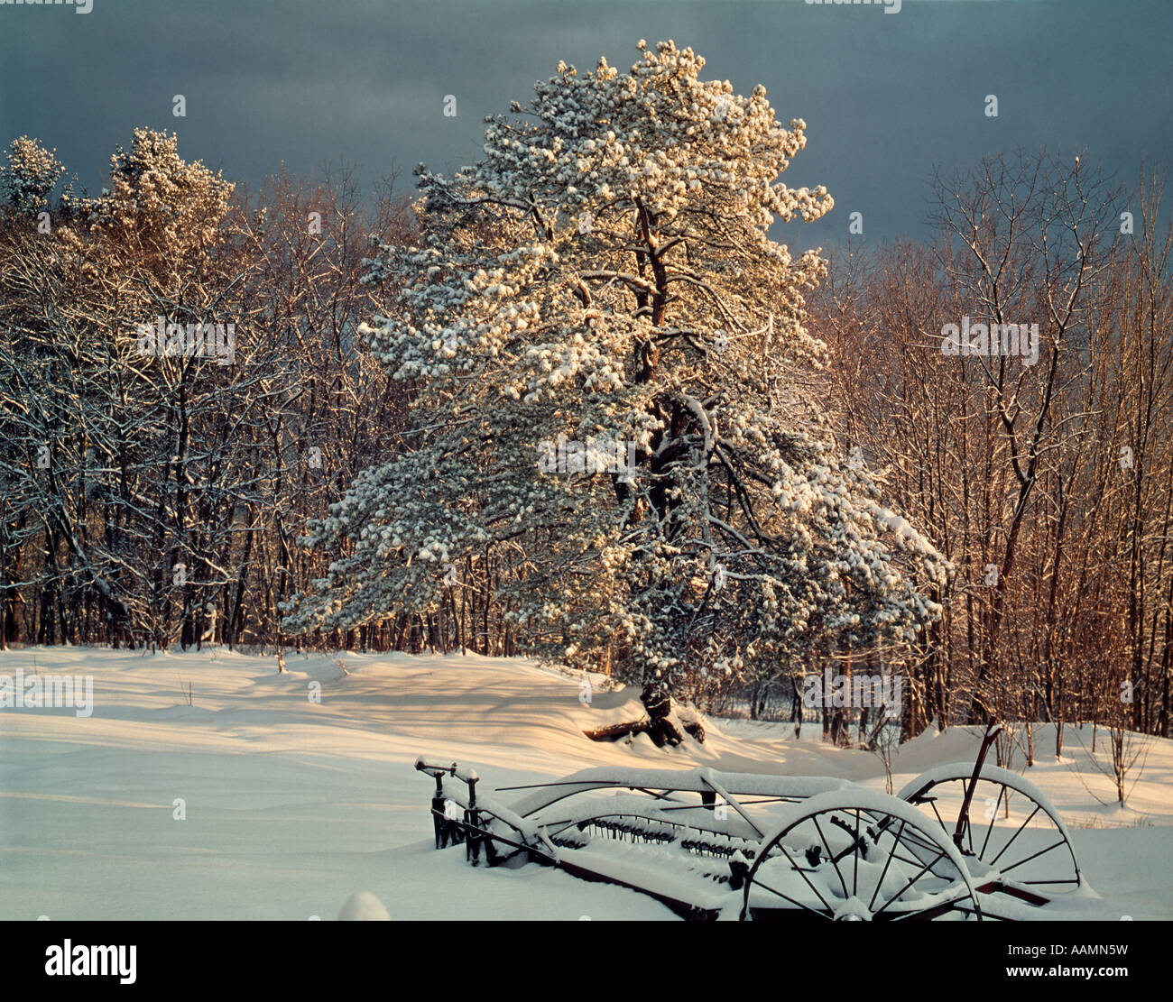 FRESH SNOW FALL ON TREES FIELD WITH OLD FARM MACHINERY FOREGROUND ...