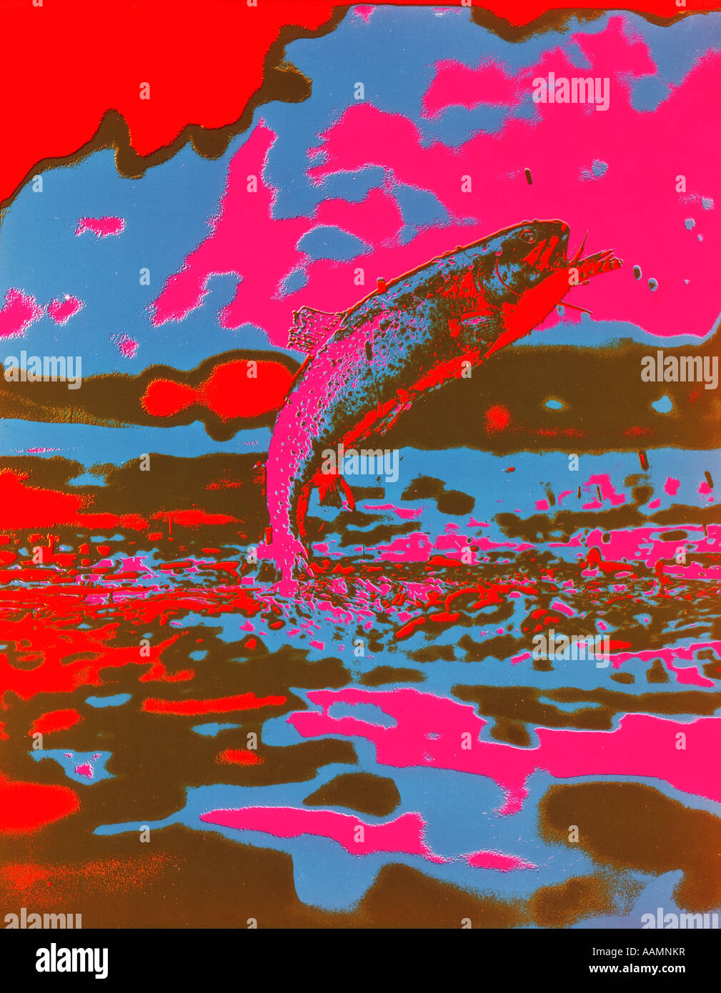 Trippy Animal Photography