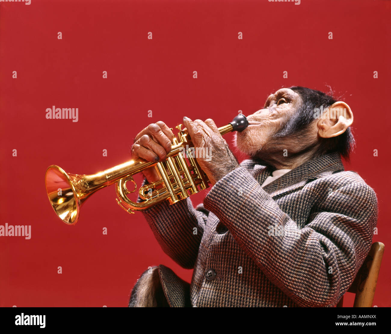 1970s musical instruments hi-res stock photography and images - Alamy