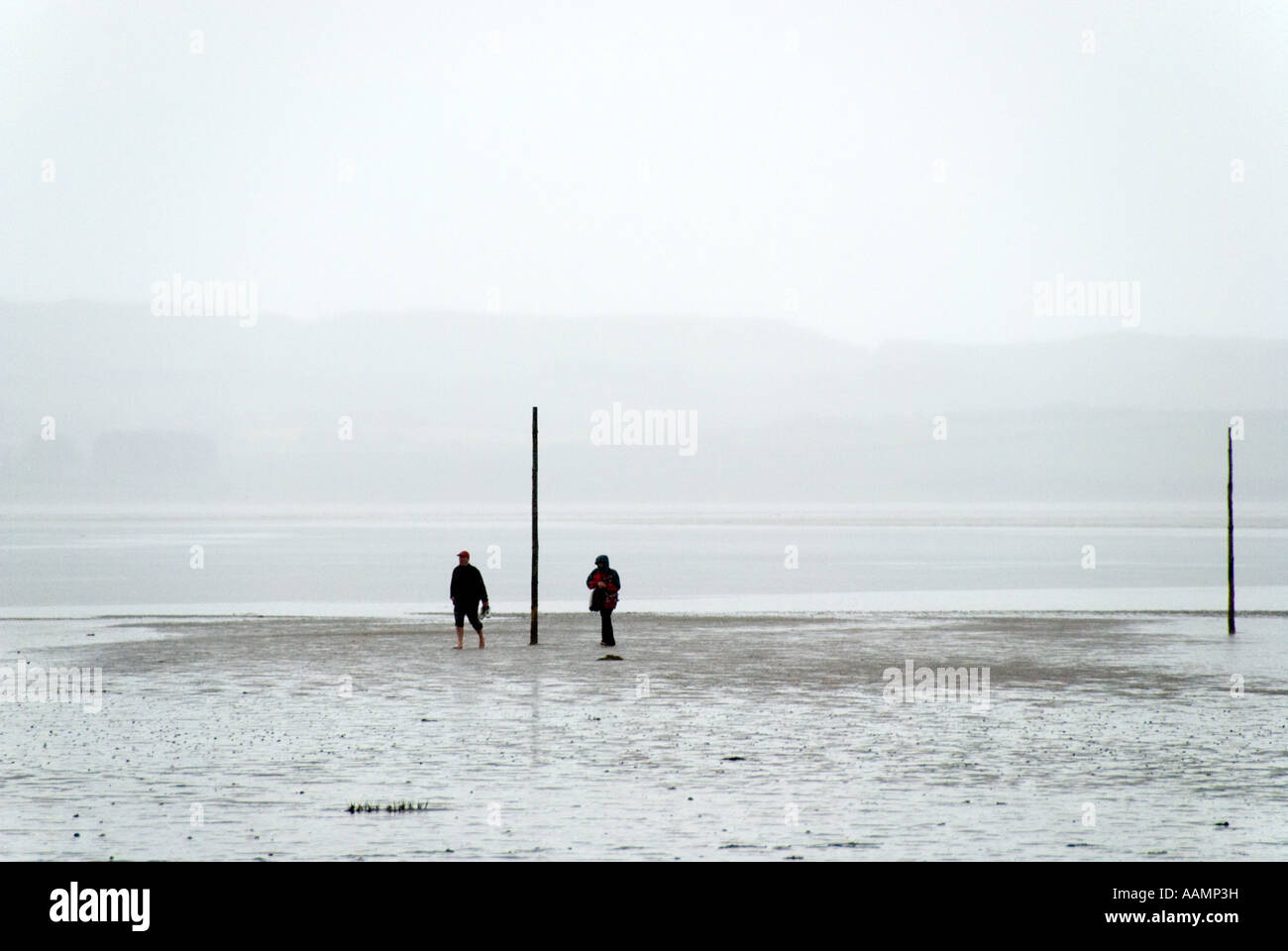 Two people walking across tidal flats to the Holy Island of Lindisfarne ...