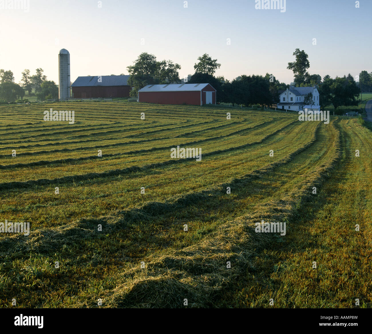 Windrowed hi-res stock photography and images - Alamy