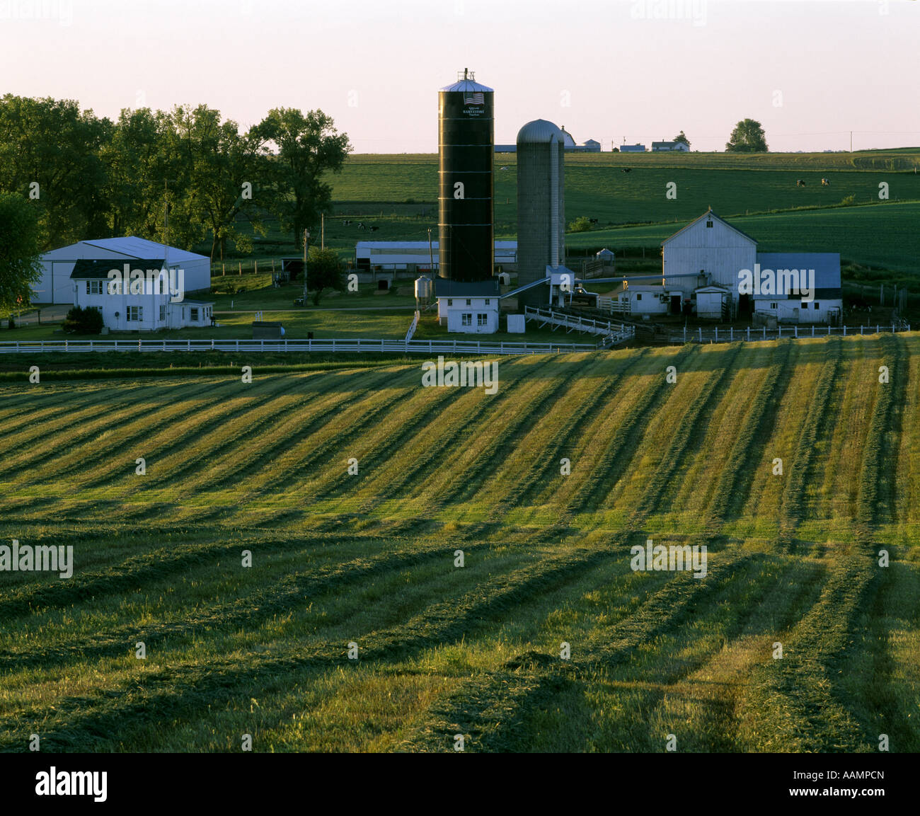 Wisconsin dairy farms hi-res stock photography and images - Alamy