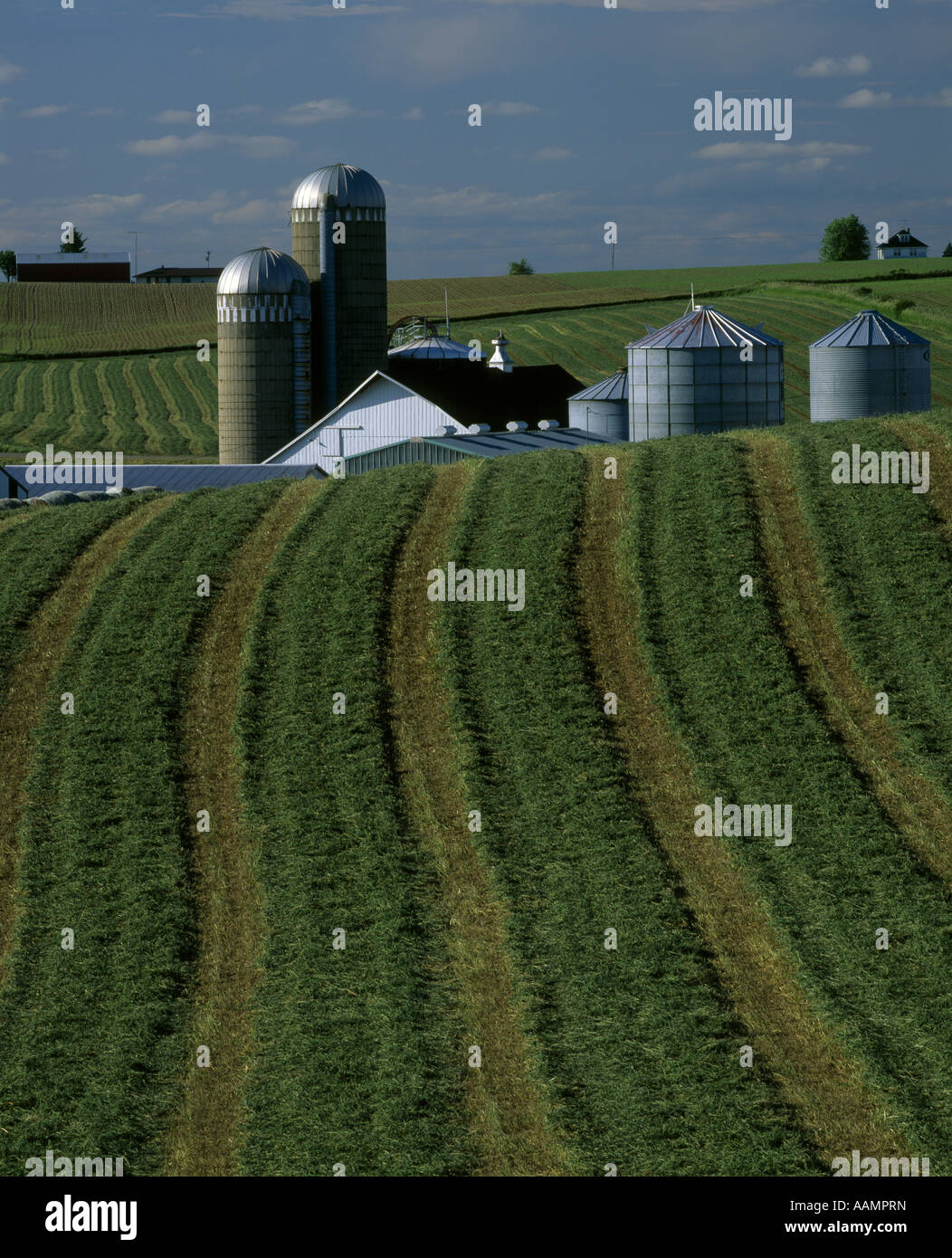 Swathed fields High Resolution Stock Photography and Images - Alamy