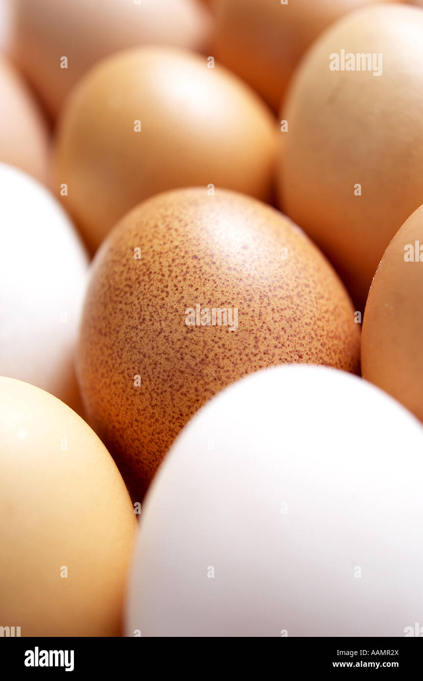 Eggs close up Stock Photo - Alamy